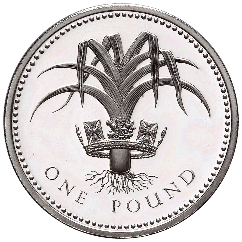 Collezionismo | Articolo | GRAN BRETAGNA - ELISABETTA II - 1 POUND ...